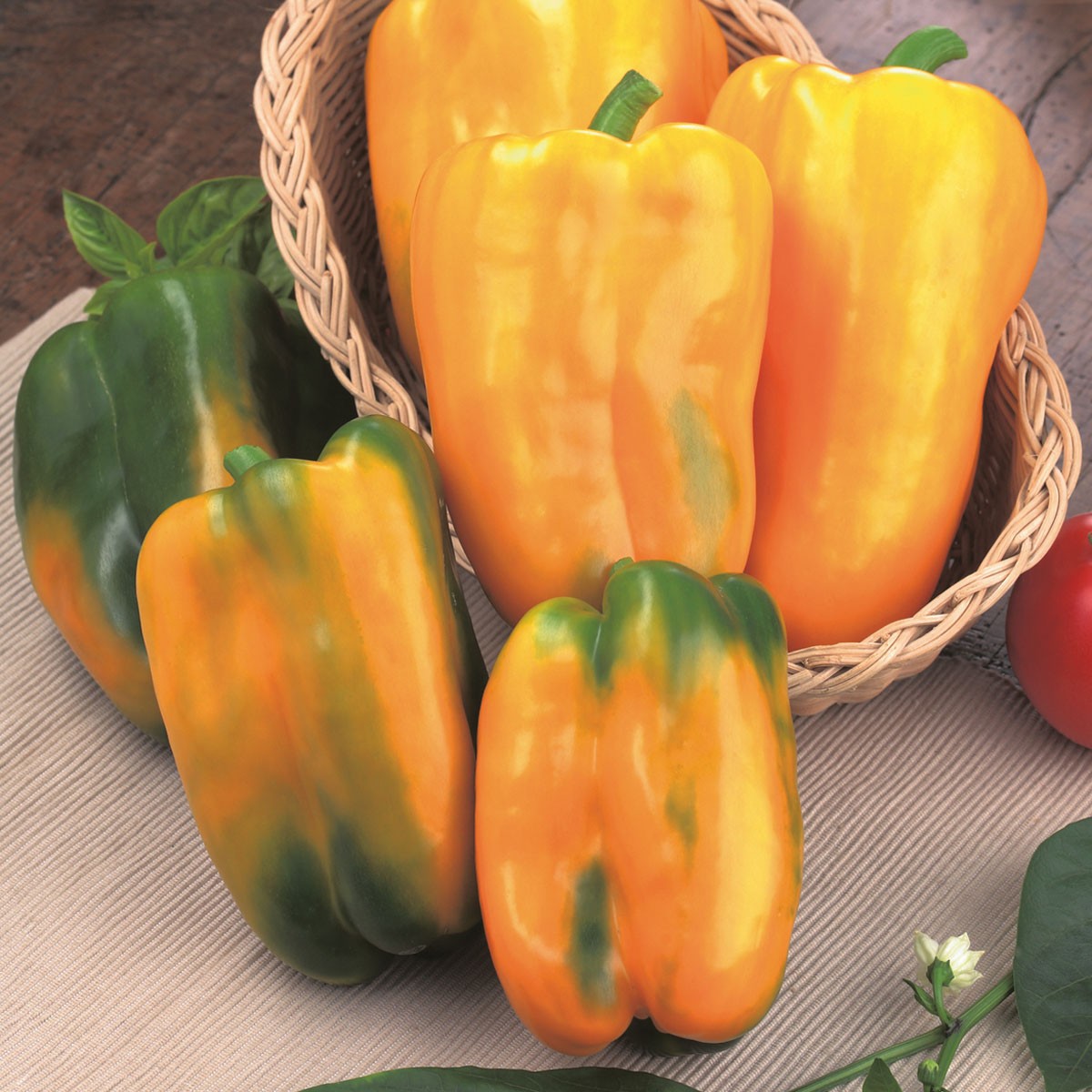 Cepljena paprika- Vrtnarstvo Čadež